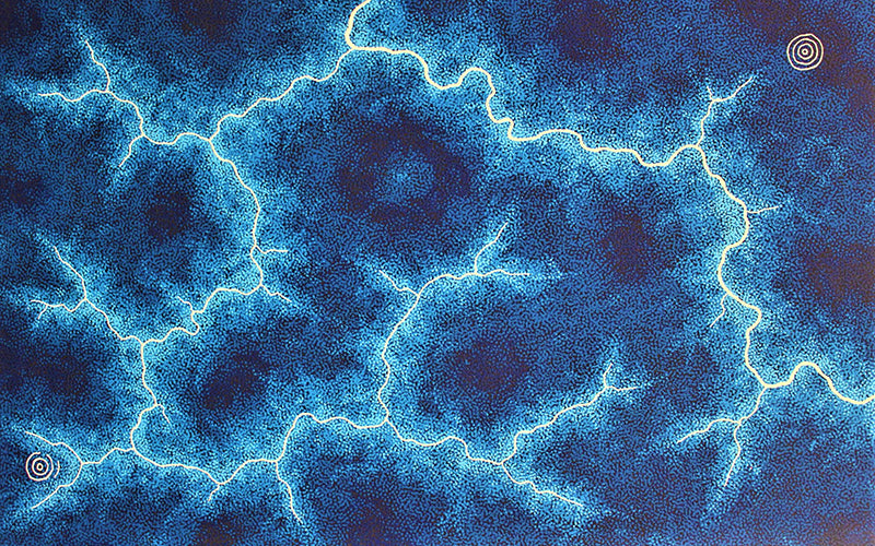 High Value Artwork $5000 & above – Creative Native Perth