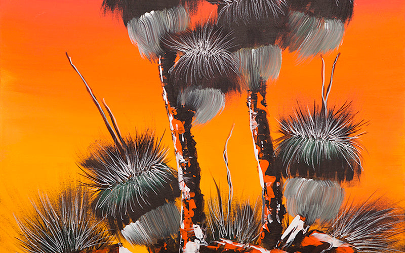 SALE – Creative Native Perth