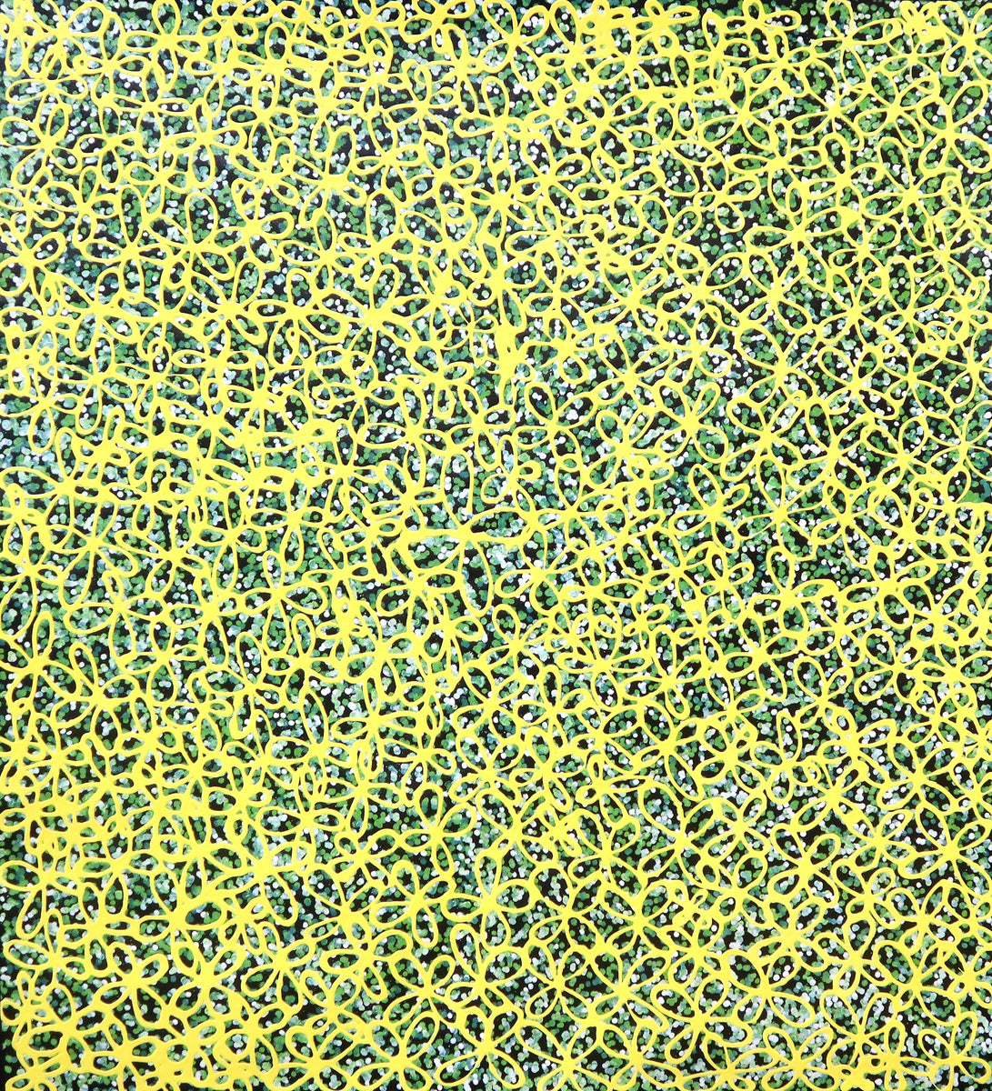 "Wildflowers" by Shane Hansen and Bridget Slater – Creative Native Perth